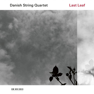 Last Leaf - Deutsche Grammophon